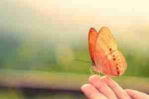 Mastering Mediumship | Charlene Murphy
