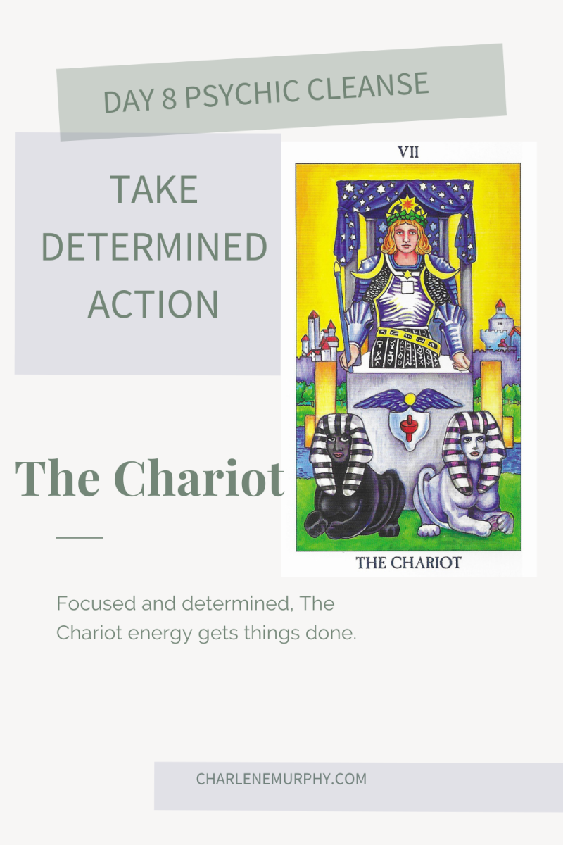 Day 8: Harnessing the Power of Determined Action