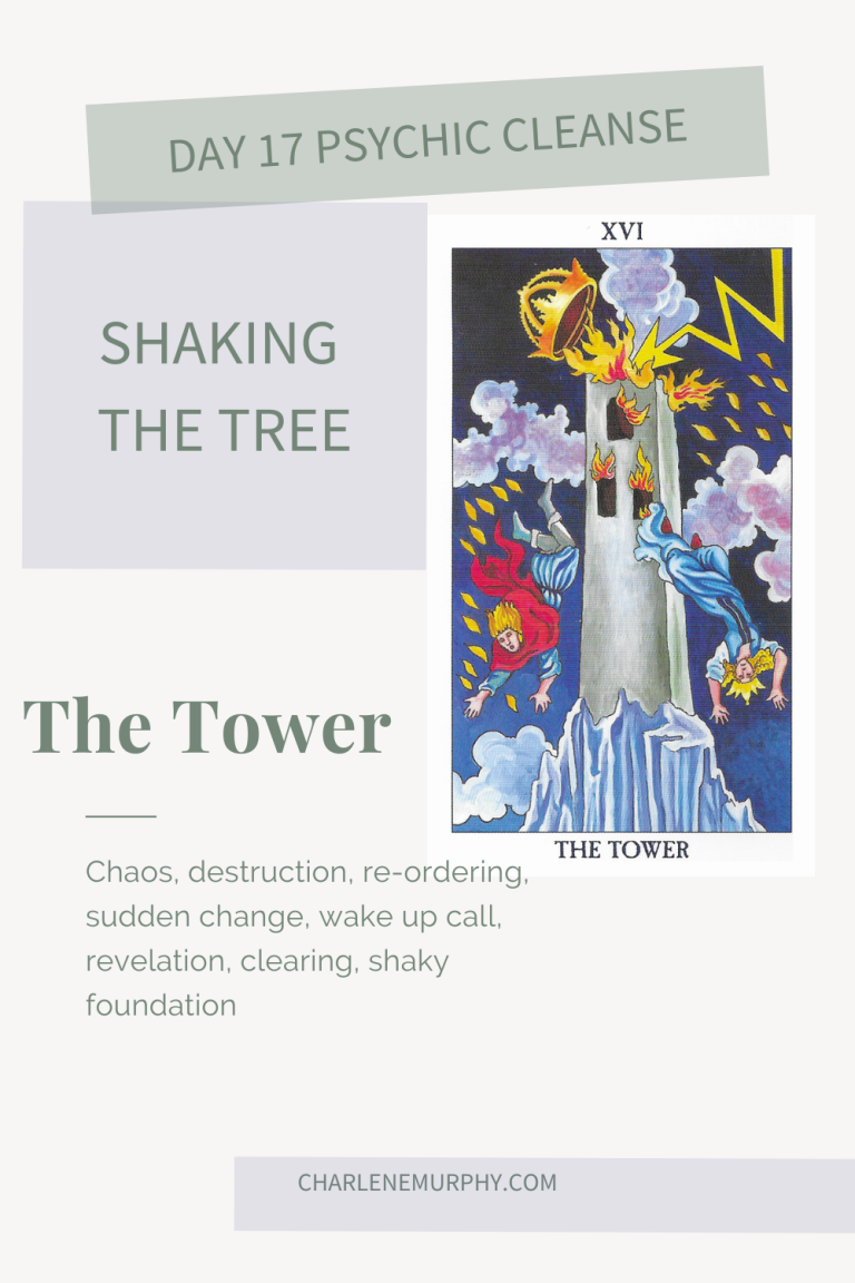 Day 17: Shaking the Tree with The Tower